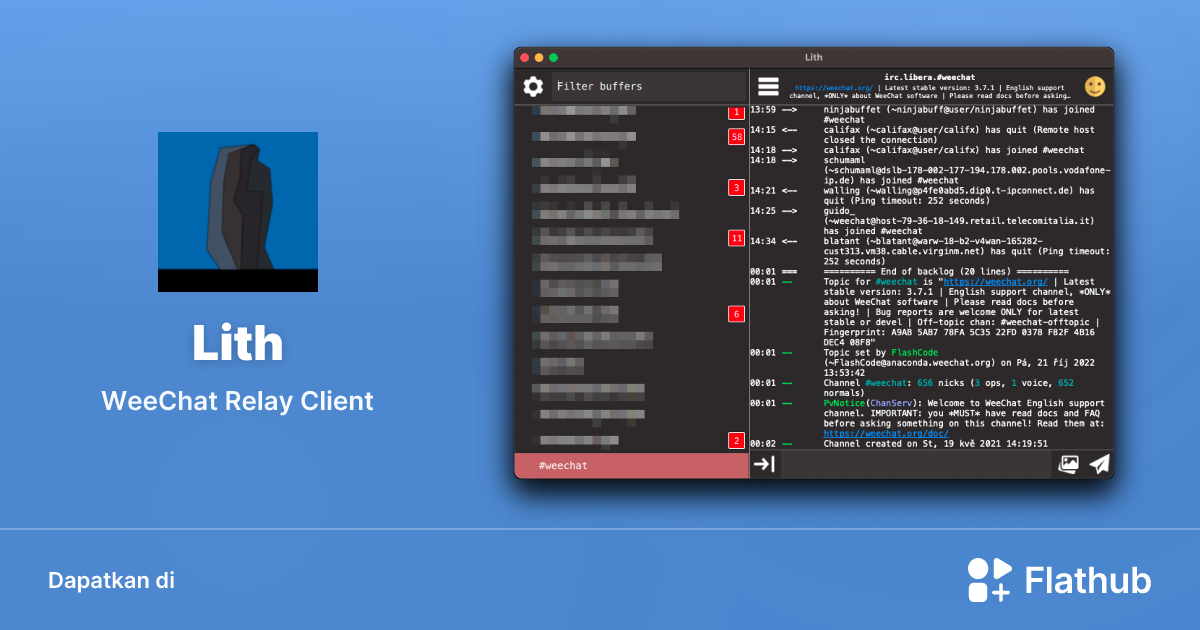Menginstal Lith di Linux | Flathub
