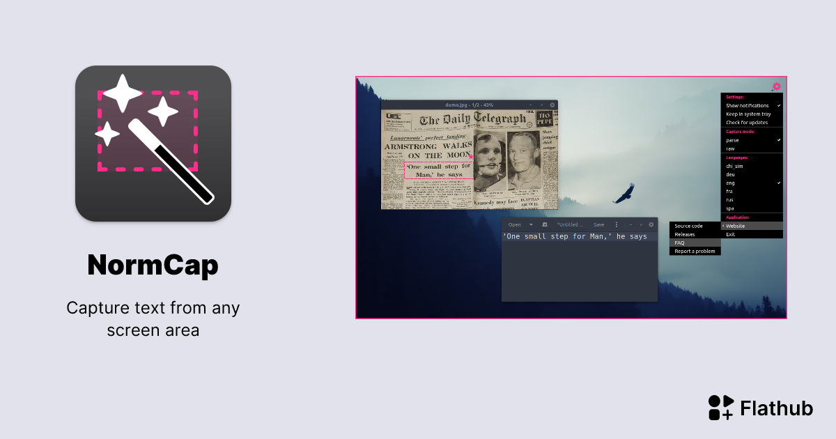 Instalar NormCap en Linux | Flathub