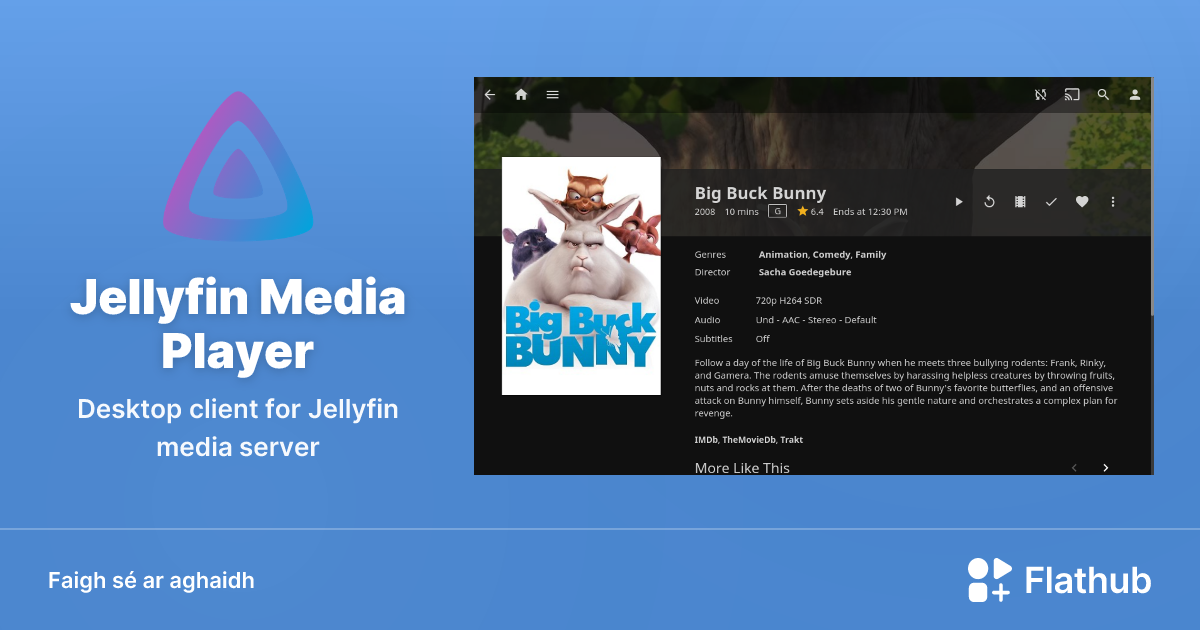 Suiteáil Jellyfin Media Player ar Linux | Flathub