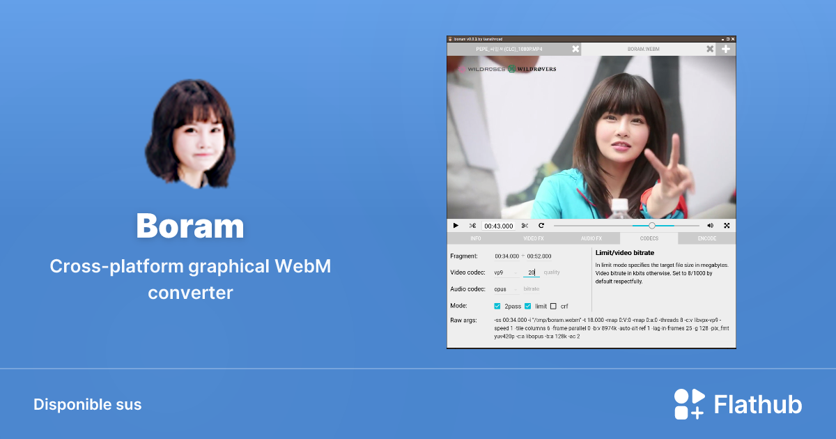 Installar Boram sus Linux | Flathub