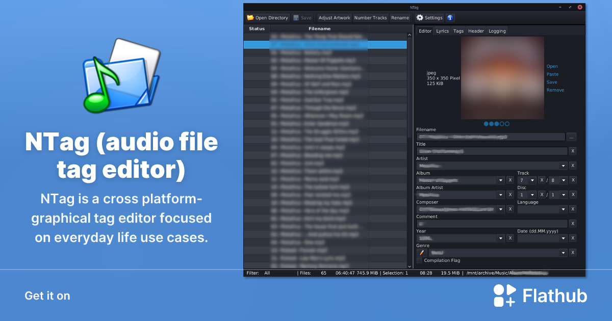 Install NTag (audio file tag editor) on Linux | Flathub
