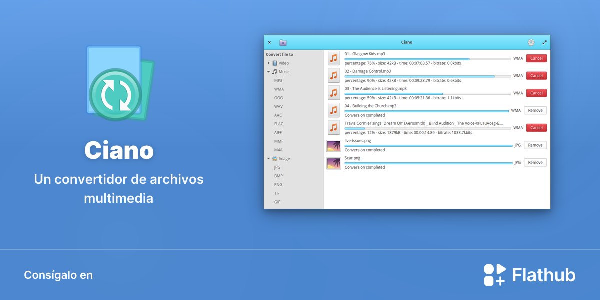 Instalar Ciano en Linux | Flathub