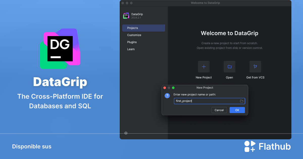 Installar DataGrip sus Linux | Flathub