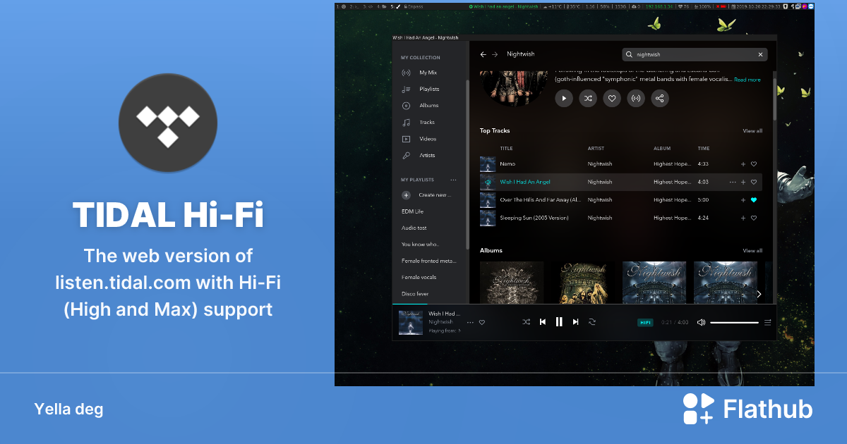 Sbedd TIDAL Hi-Fi deg Linux | Flathub