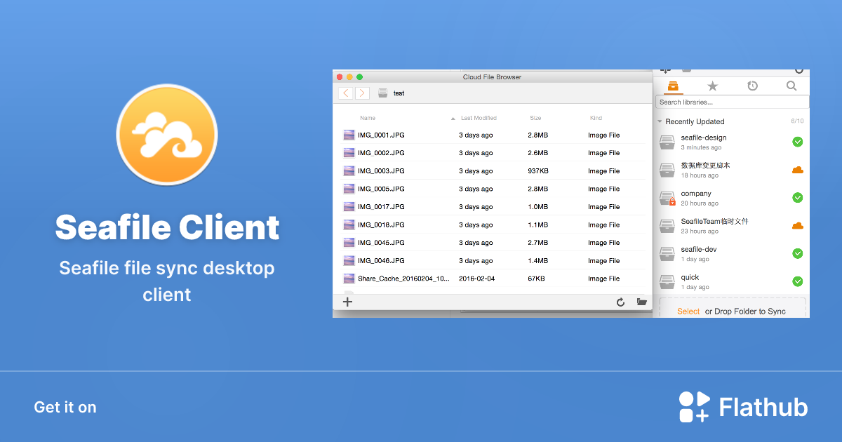 Install Seafile Client on Linux | Flathub