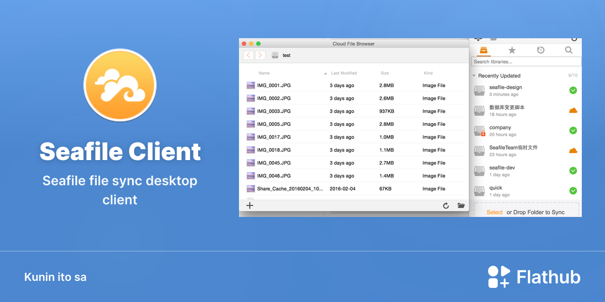 I-install ang Seafile Client sa Linux | Flathub