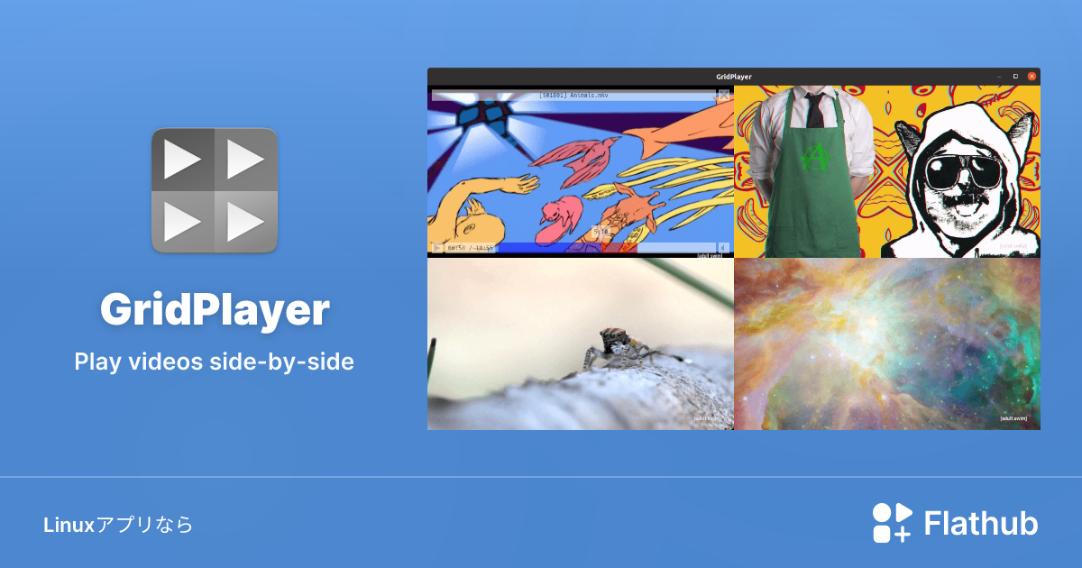 GridPlayerをLinuxにインストール | Flathub