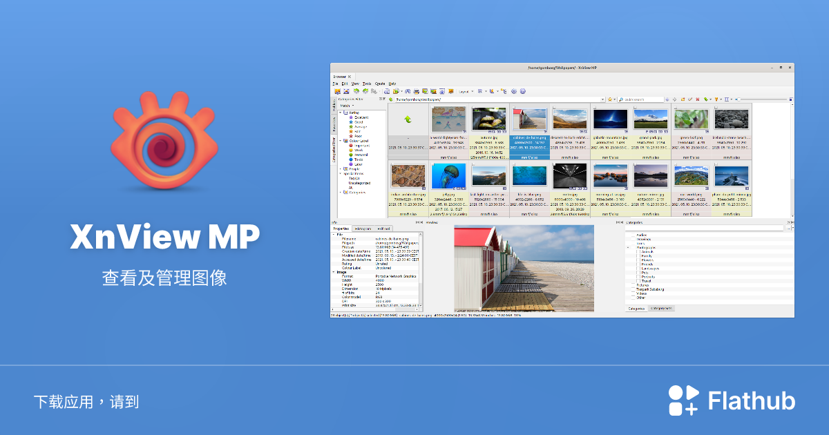 在 Linux 上安装 XnView MP | Flathub