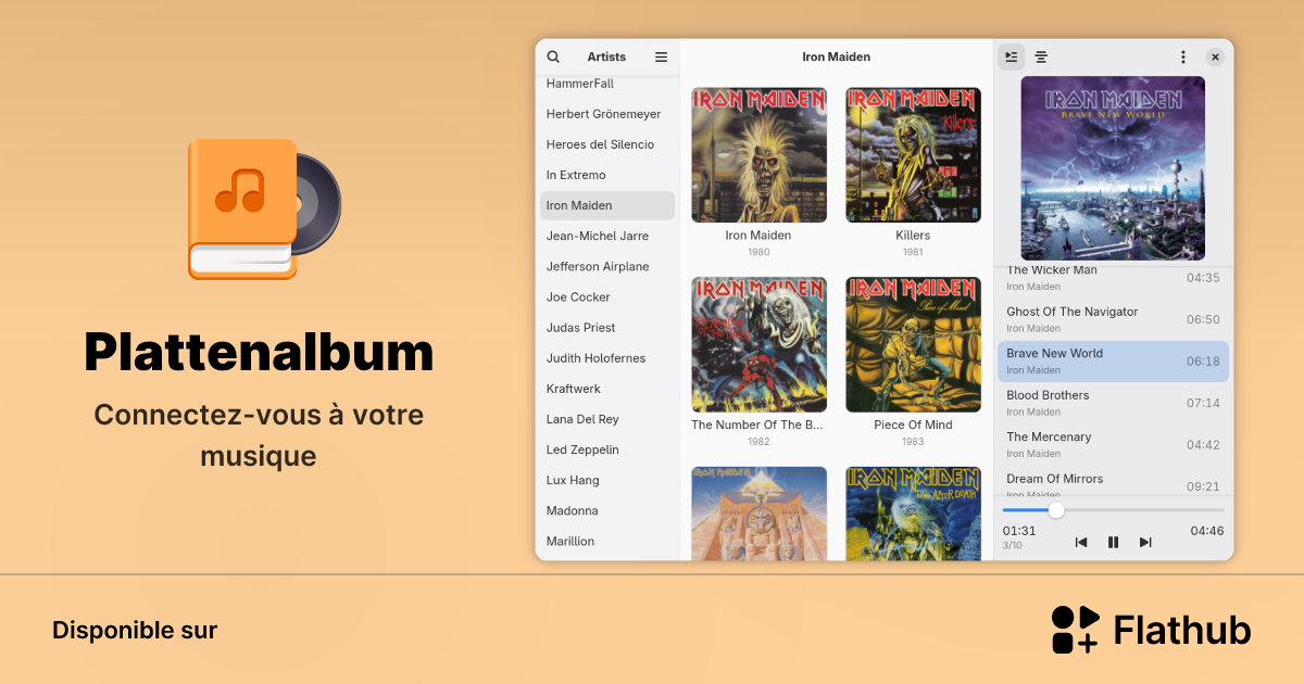 Installer Plattenalbum sur Linux | Flathub