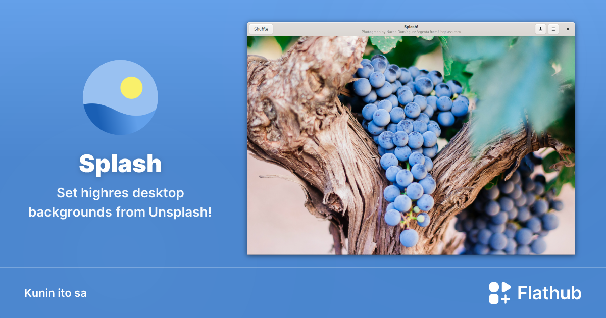I-install ang Splash sa Linux | Flathub