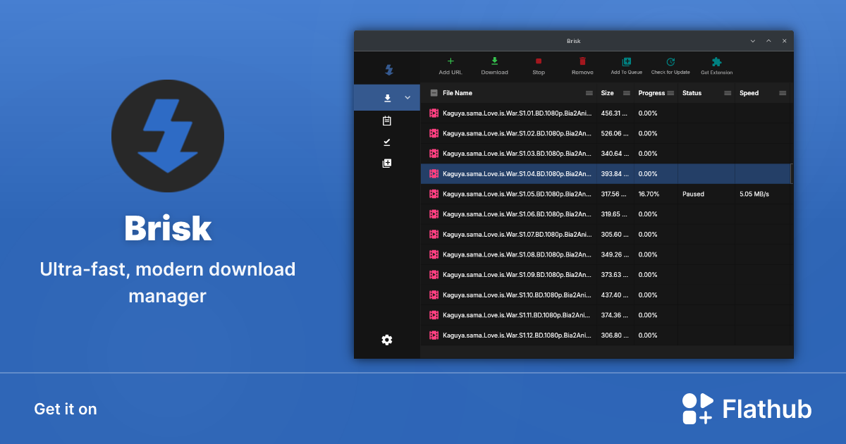 Install Brisk on Linux | Flathub