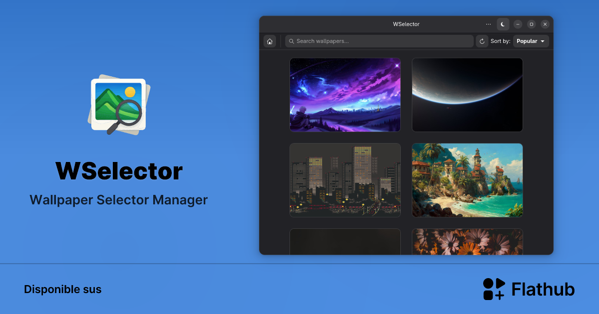 Installar WSelector sus Linux | Flathub