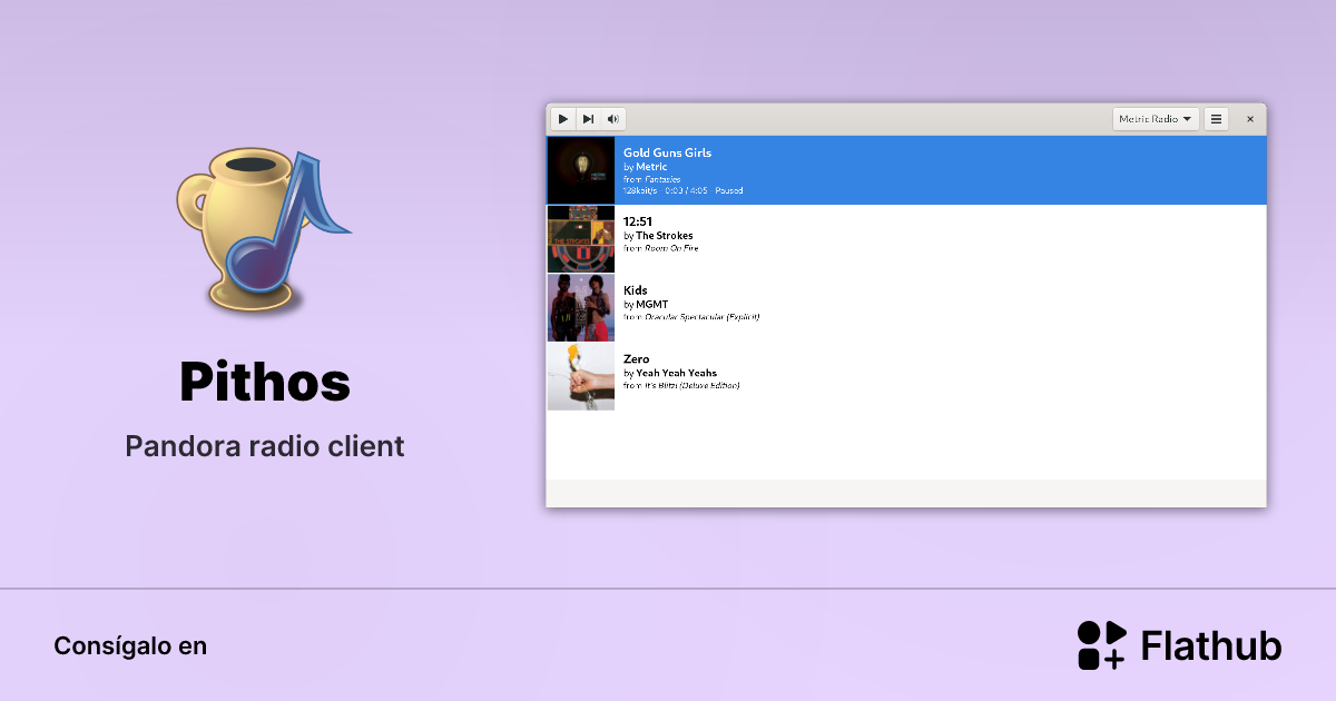 Instalar Pithos en Linux | Flathub