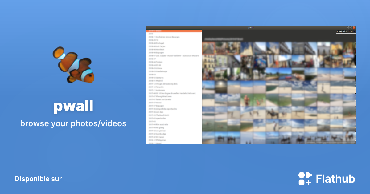Installer pwall sur Linux | Flathub