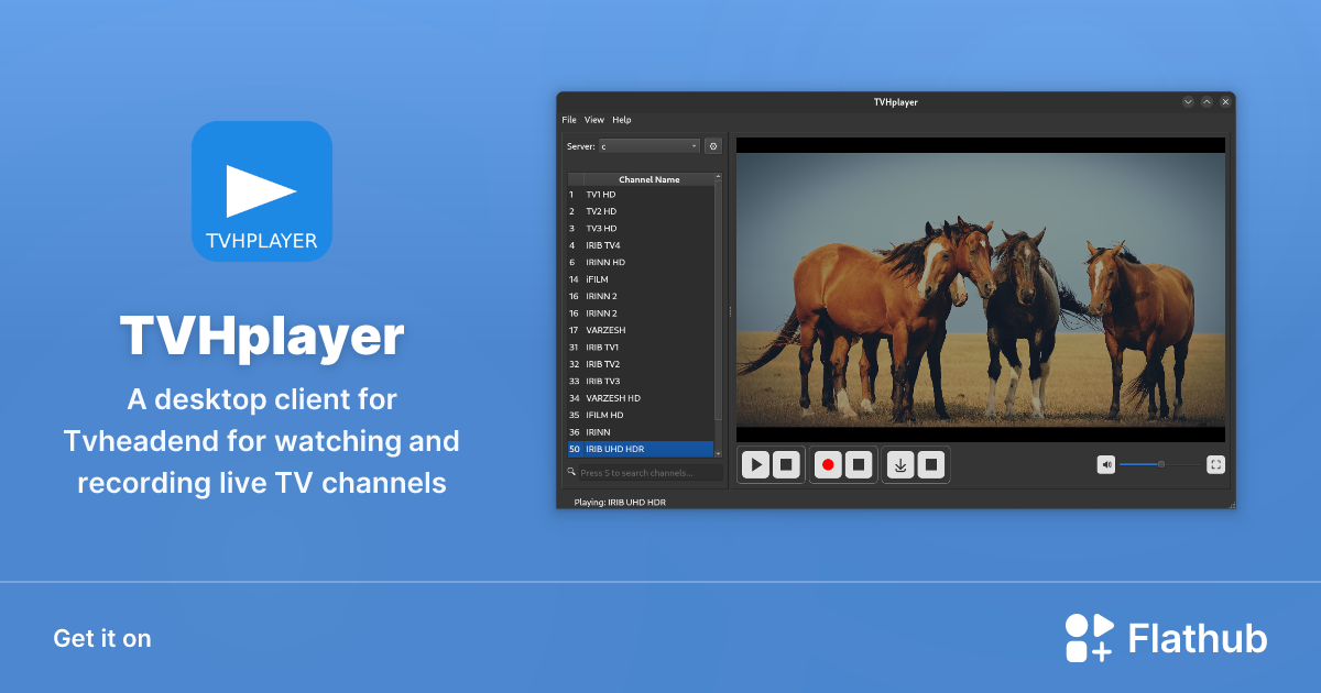 Install TVHplayer on Linux | Flathub