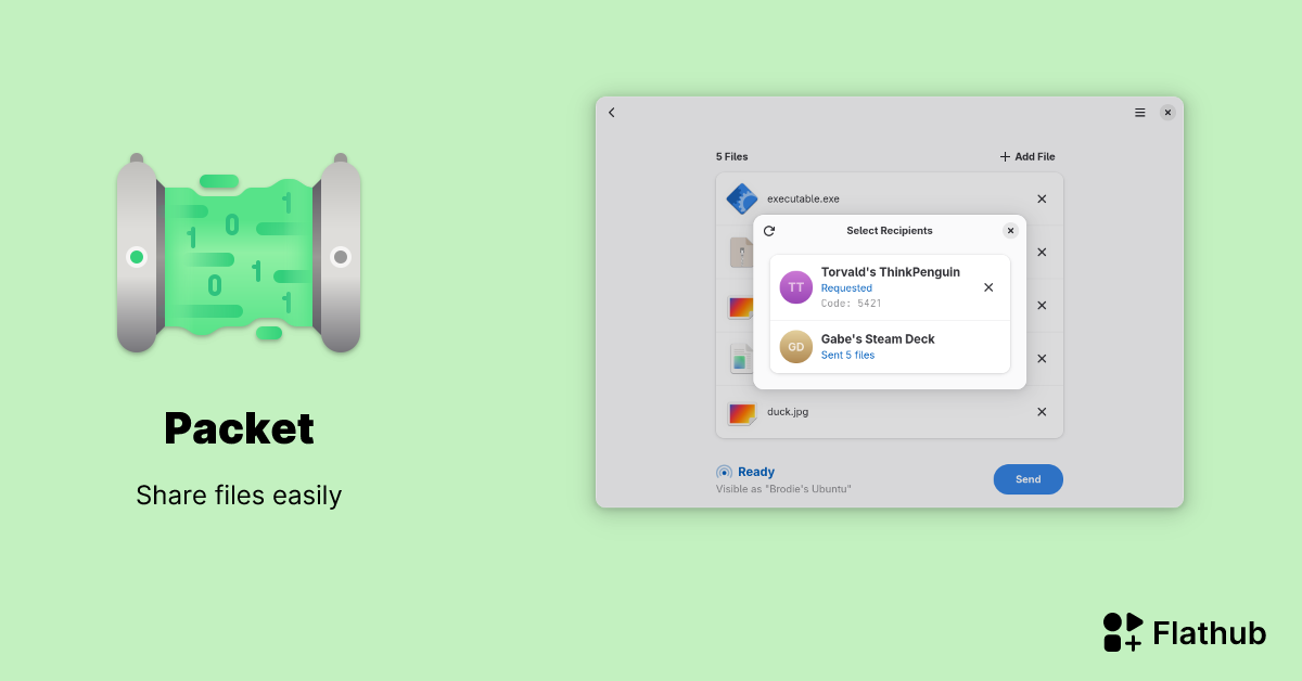Instalar Packet en Linux | Flathub