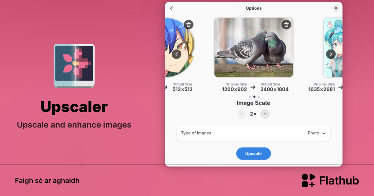Suiteáil Upscaler ar Linux | Flathub