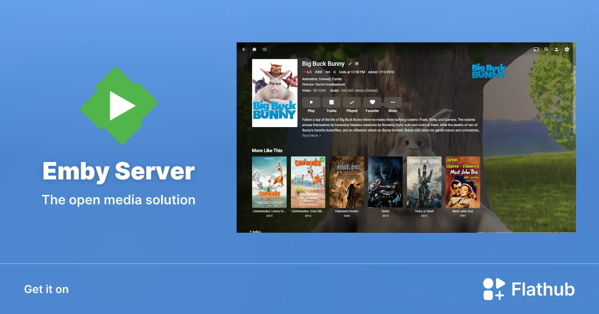نصب Emby Server روی گنو/لینوکس | فلت‌هاب