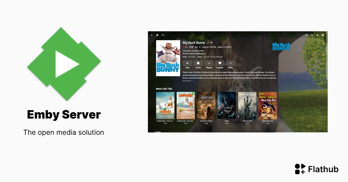 Install Emby Server on Linux | Flathub