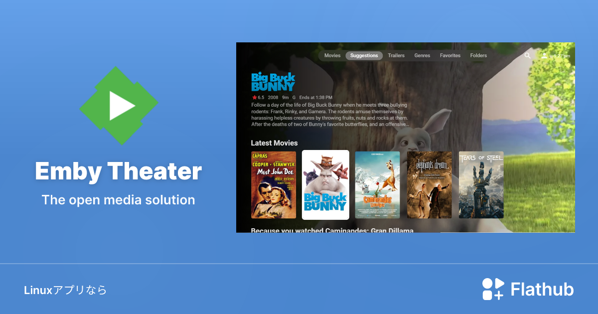 Emby TheaterをLinuxにインストール | Flathub