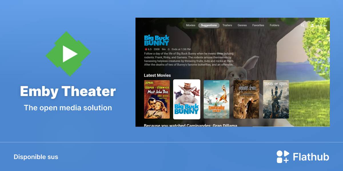 Installar Emby Theater sus Linux | Flathub