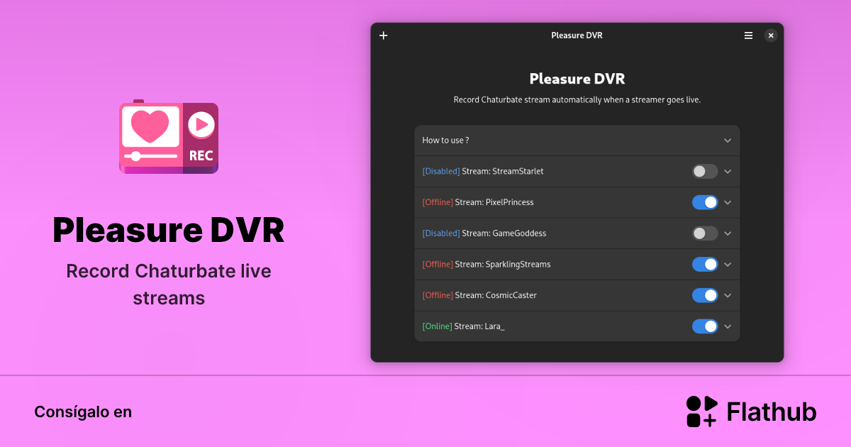 Instalar Pleasure DVR en Linux | Flathub