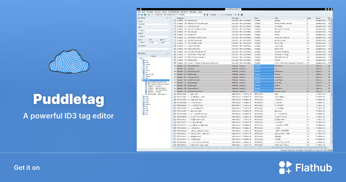 Install Puddletag on Linux | Flathub
