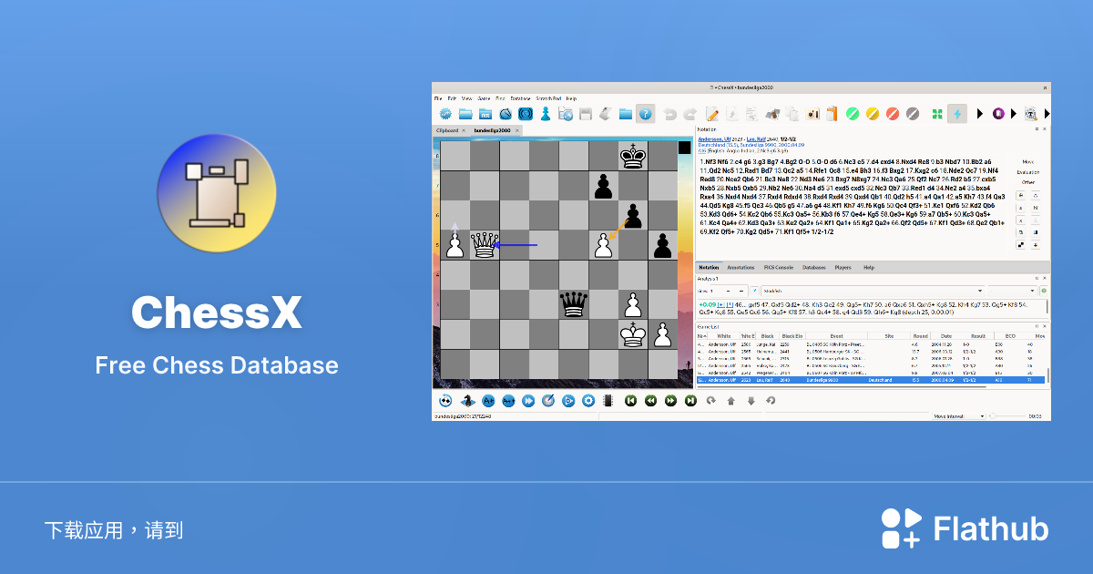 在 Linux 上安装 ChessX | Flathub