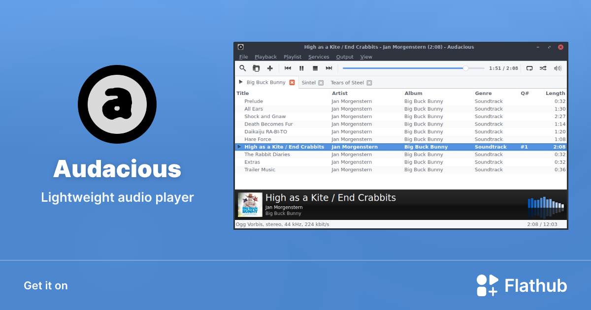 Install Audacious on Linux | Flathub