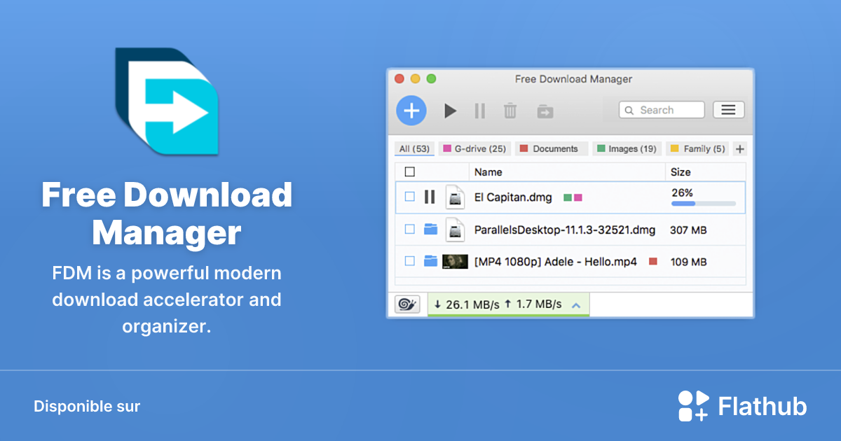 Installer Free Download Manager sur Linux | Flathub