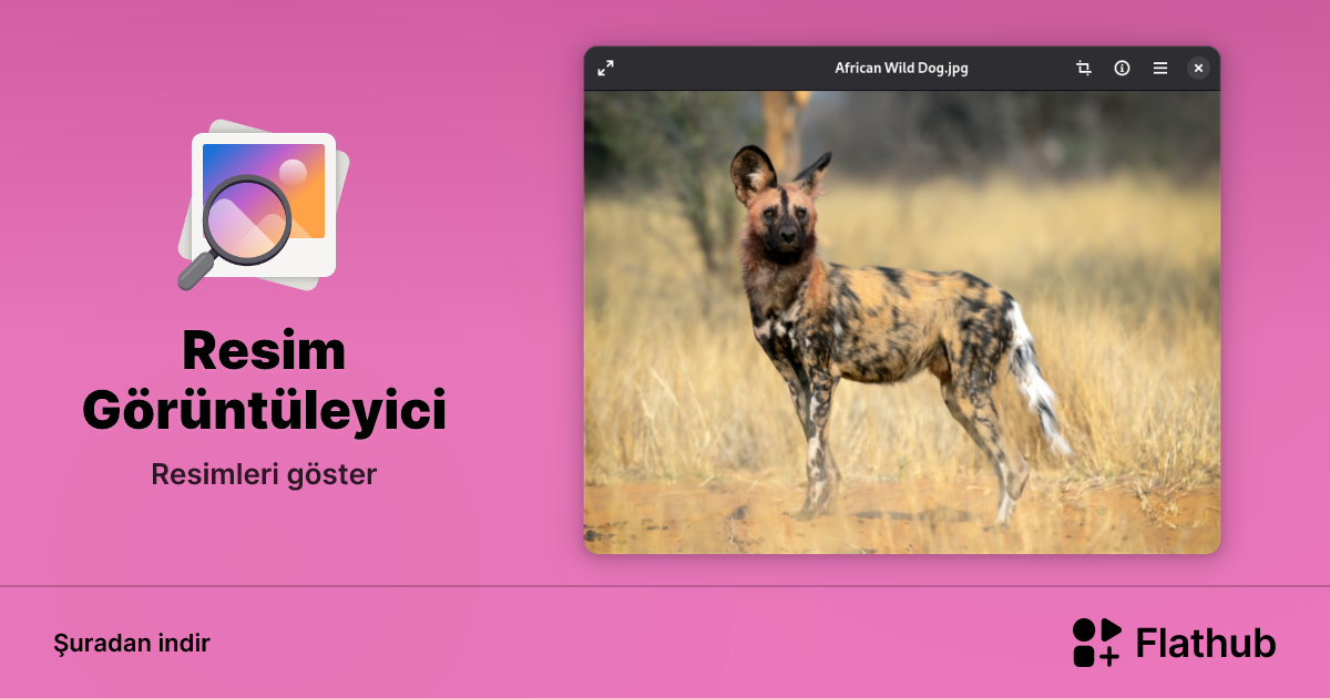 Resim Görüntüleyici uygulamasını Linux'ta kur | Flathub