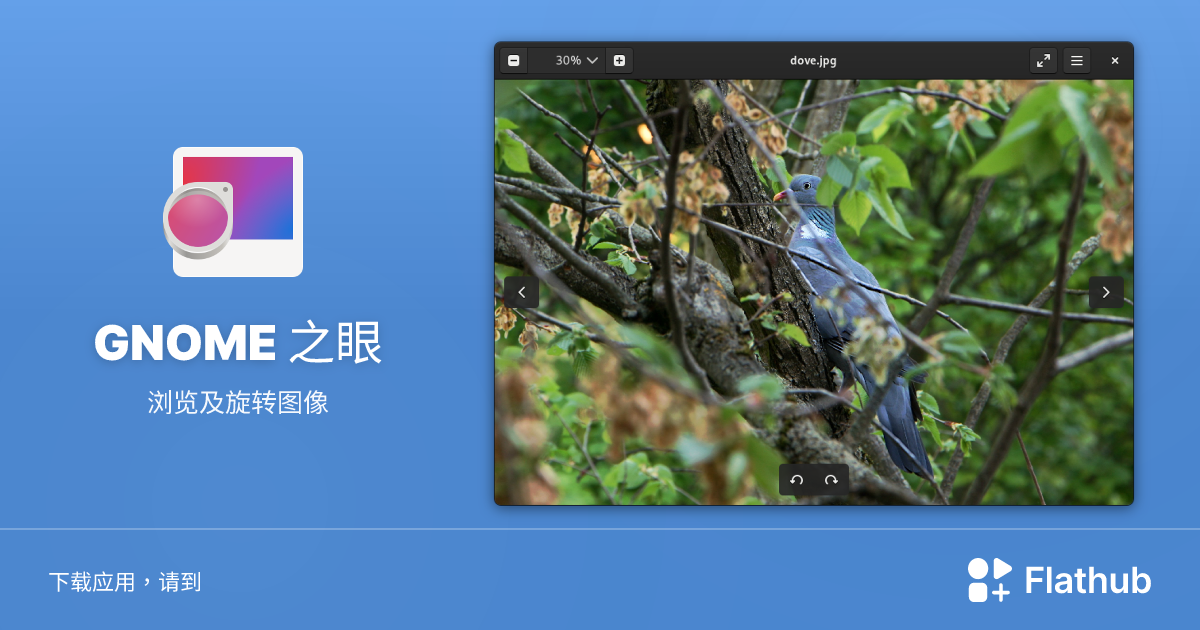 在 Linux 上安装 GNOME 之眼 | Flathub