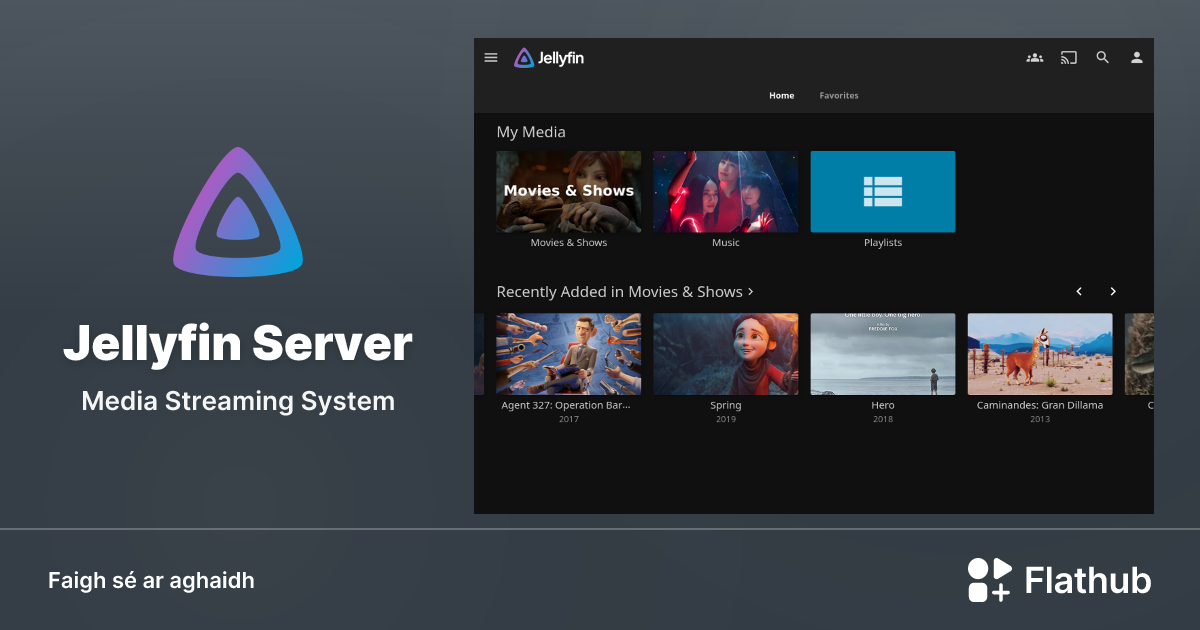 Suiteáil Jellyfin Server ar Linux | Flathub