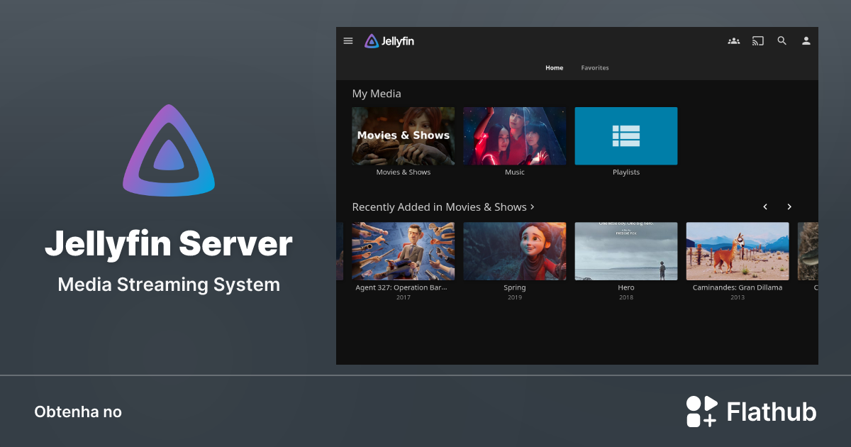 Instalar Jellyfin Server no Linux | Flathub