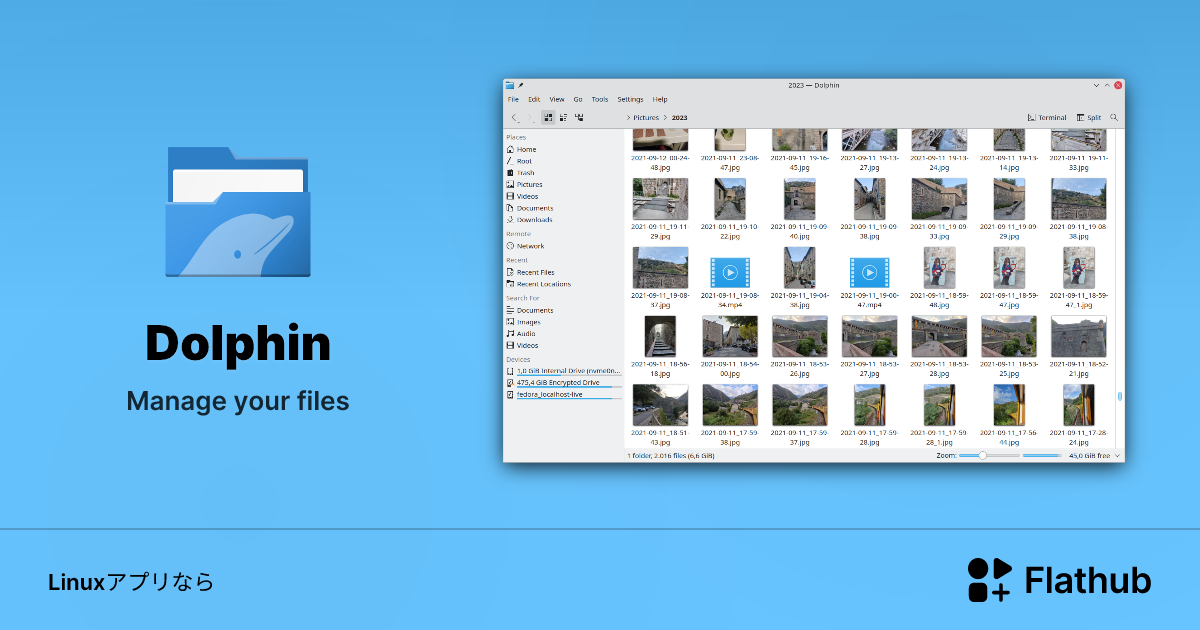 DolphinをLinuxにインストール | Flathub