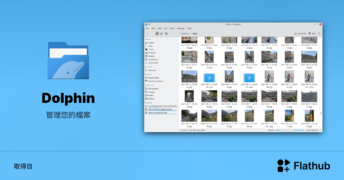 在 Linux 上安裝 Dolphin | Flathub