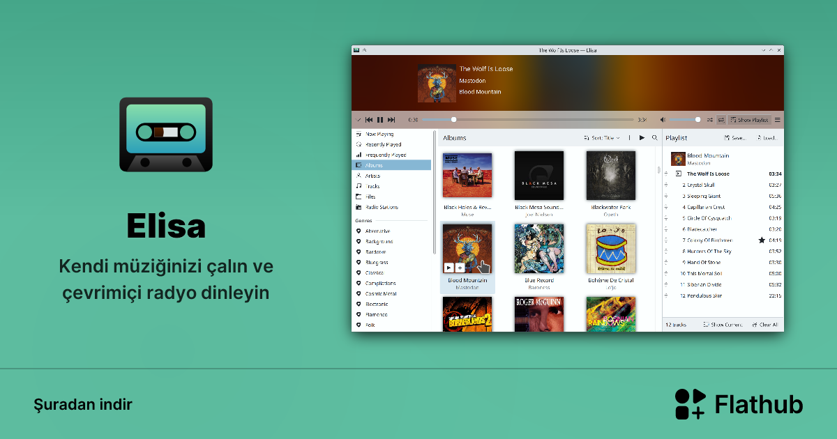 Elisa uygulamasını Linux'ta kur | Flathub