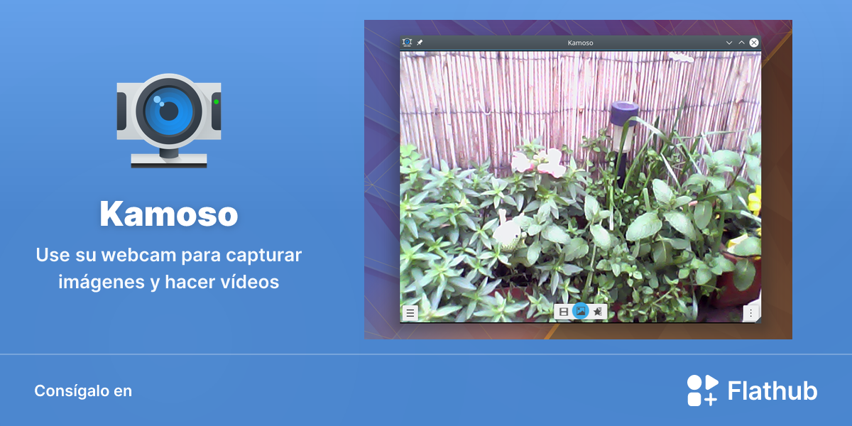 Instalar Kamoso en Linux | Flathub