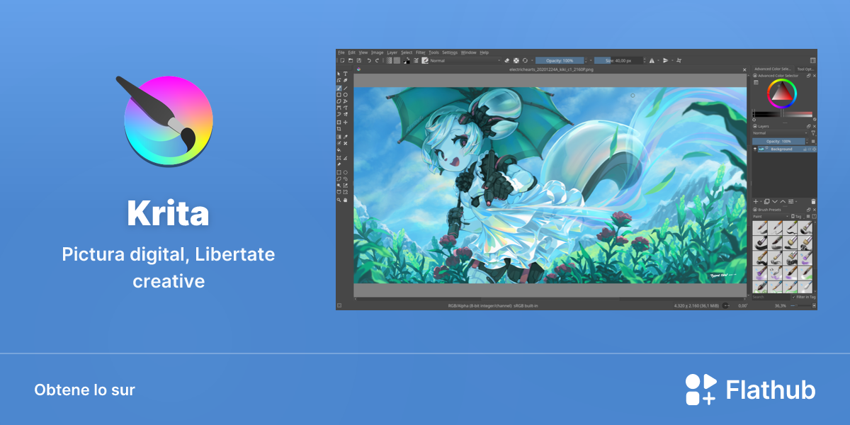 Installar Krita sur Linux | Flathub