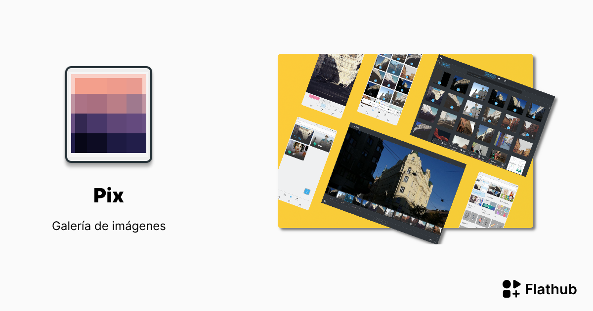 Instalar Pix en Linux | Flathub