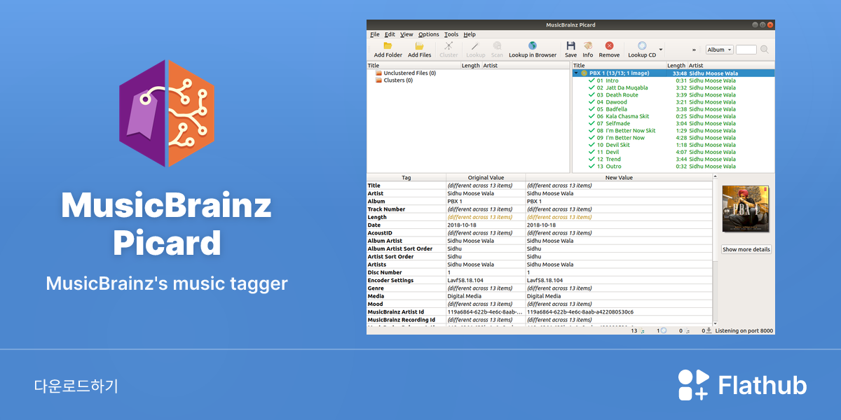 Install MusicBrainz Picard on Linux | Flathub