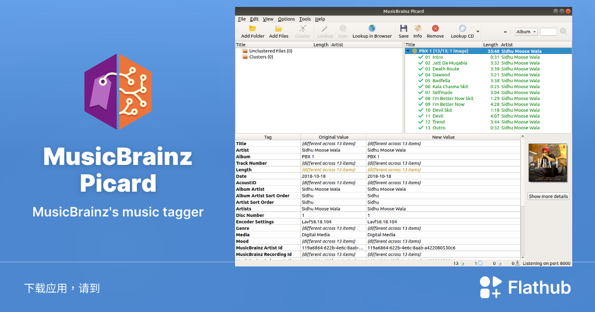 在 Linux 上安装 MusicBrainz Picard | Flathub