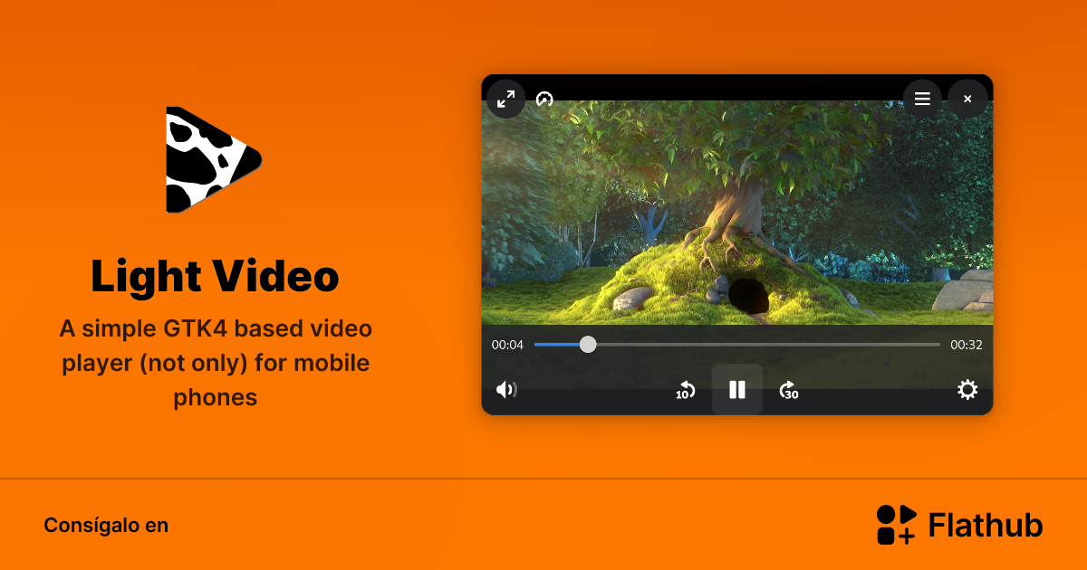 Instalar Light Video en Linux | Flathub