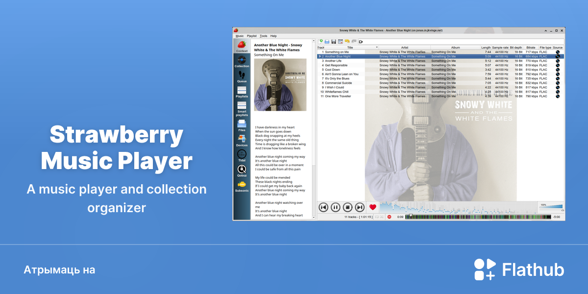 Усталяваць Strawberry Music Player на Linux | Flathub