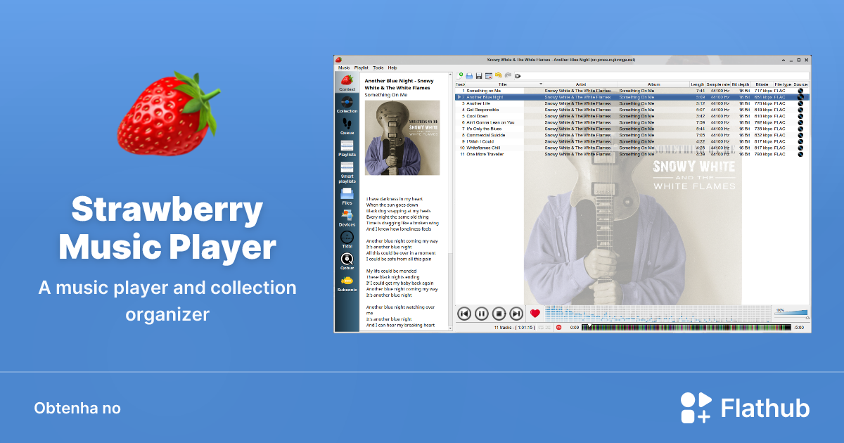 Instalar Strawberry Music Player no Linux | Flathub
