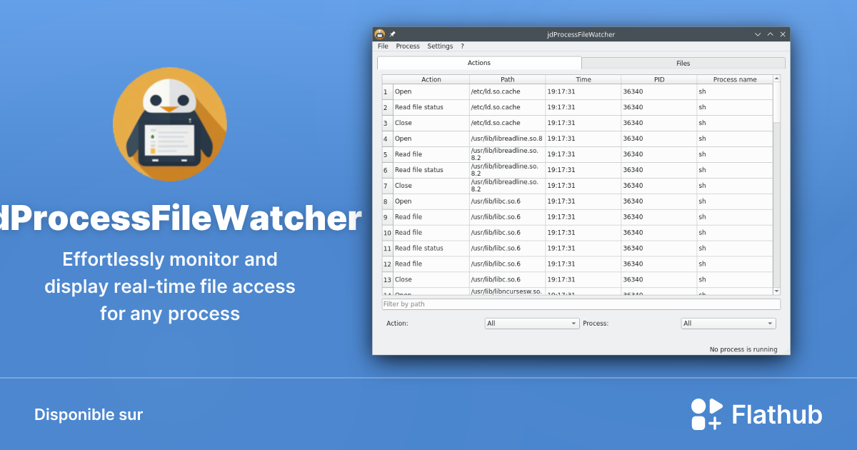 Installer jdProcessFileWatcher sur Linux | Flathub