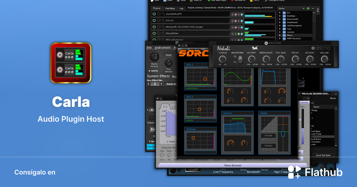 Instalar Carla en Linux | Flathub