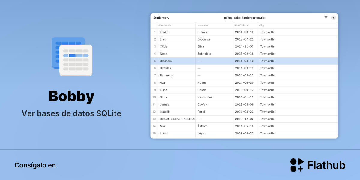 Instalar Bobby en Linux | Flathub